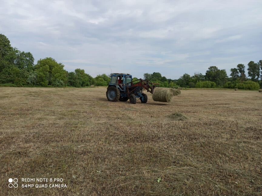Сено в рулонах 2024