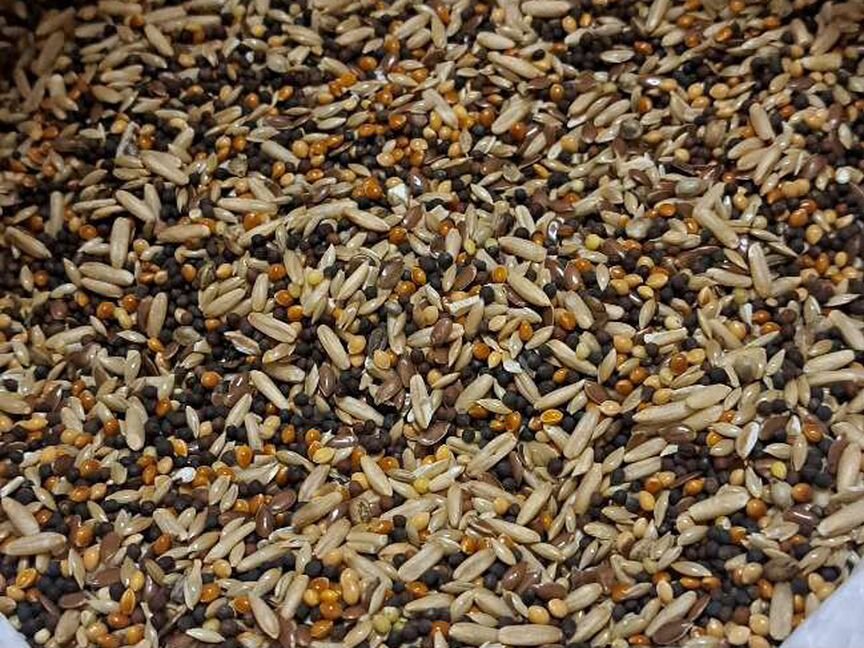 Корм для канареек