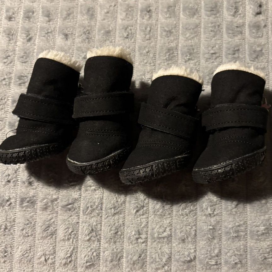 Обувь для маленьких собак