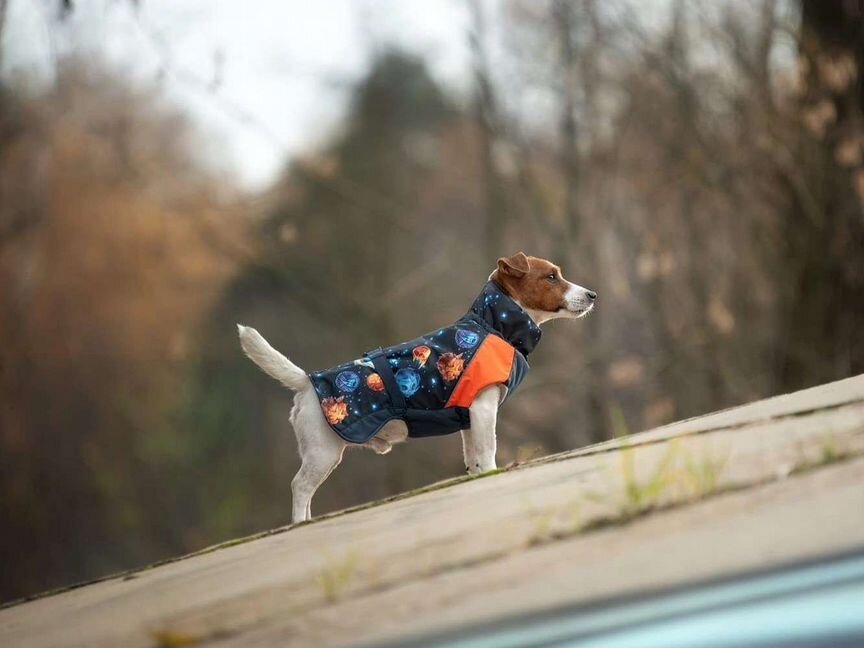 Зимняя жилетка для собак Joy Jack