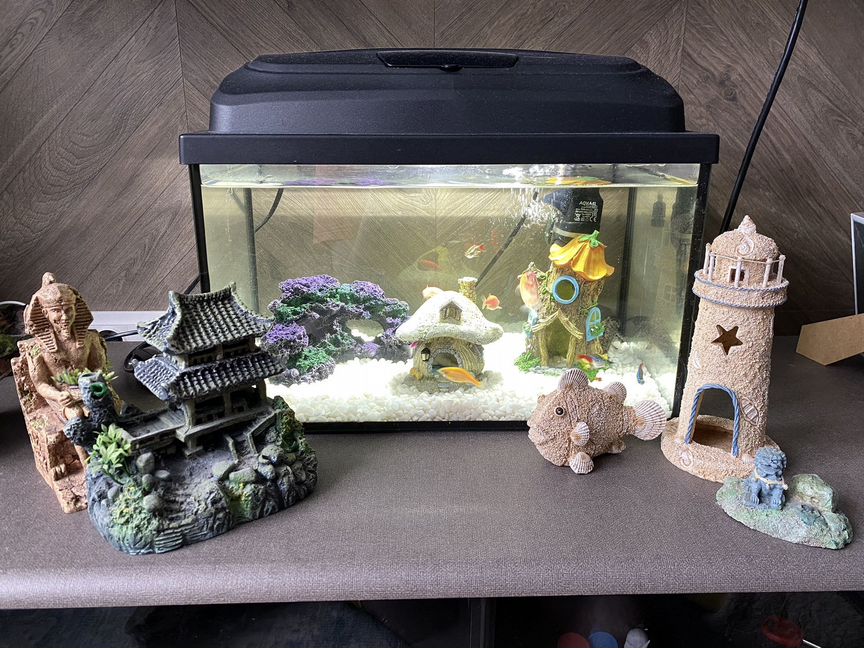 Аквариум с рыбками