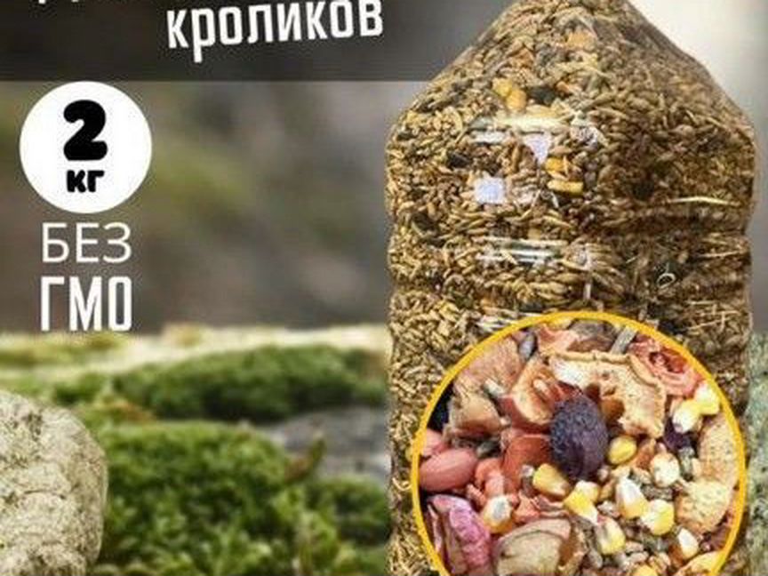 Корм для декоративных кроликов