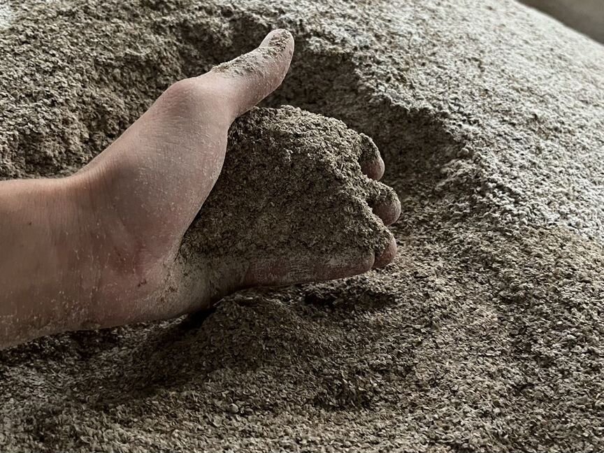 Чечевичная мучка