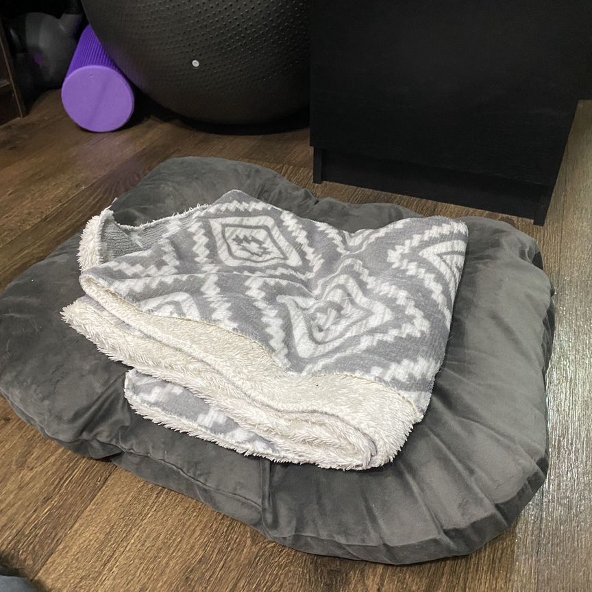 Лежаки и плед для собак