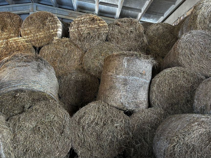 Сено в рулонах