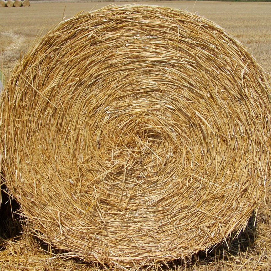 Солома пшеничная в рулонах