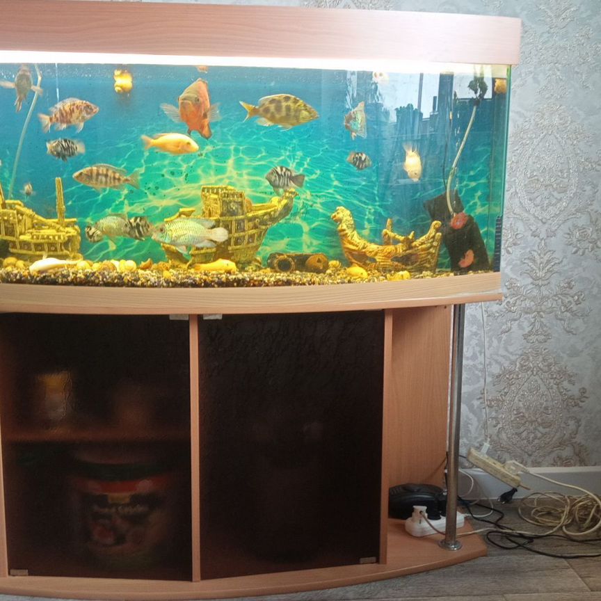 Аквариум с тумбой и всем содержимым
