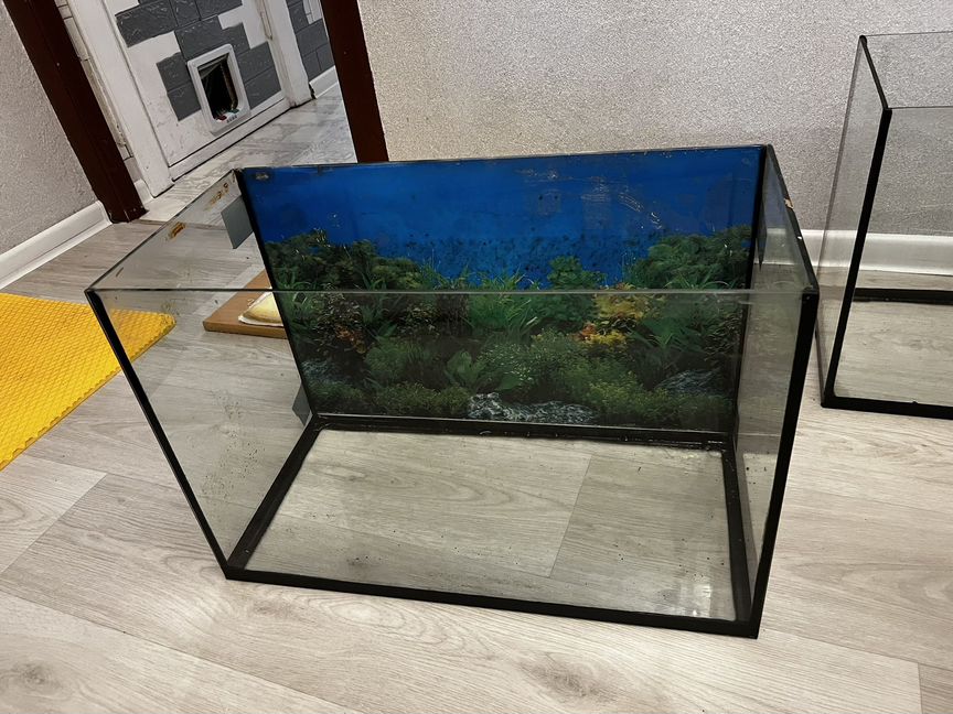 Аквариум, декораций, растения, рыбки