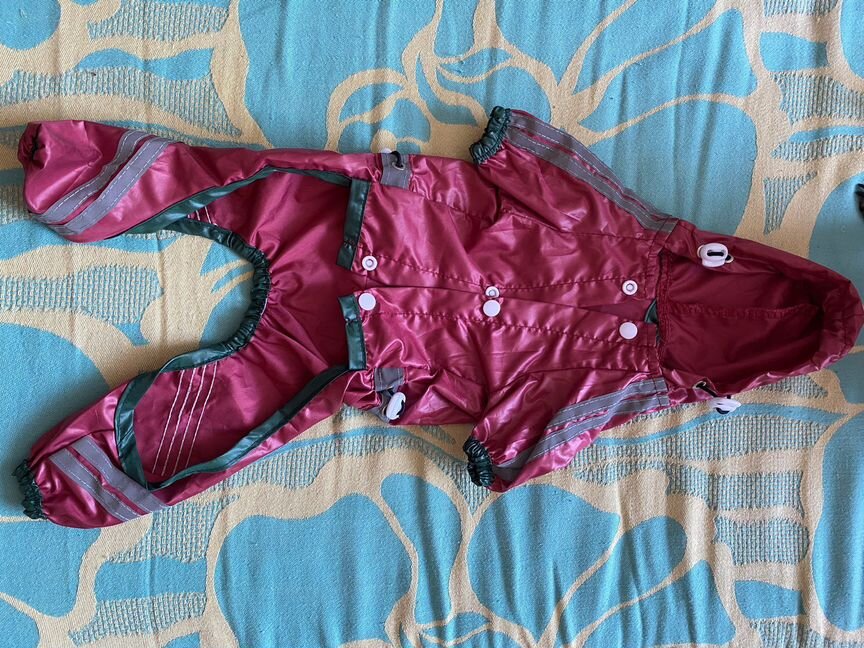 Костюм для кобеля