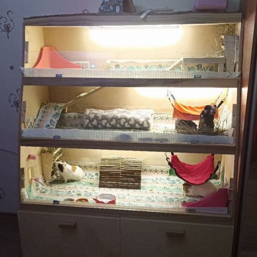 Стеллаж для морских свинок