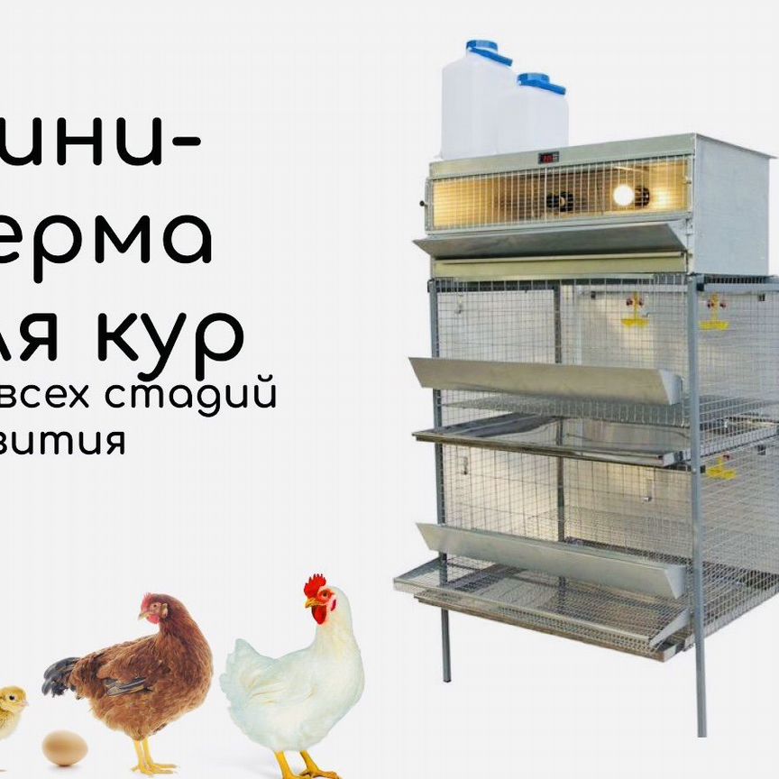 Клетки с брудером для кур Екатеринбург