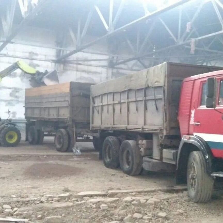 Ячмень пщеница Подсолнечник