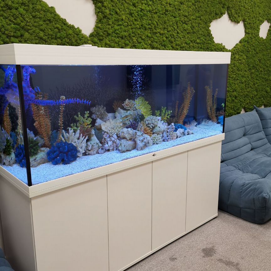 Обслуживание и оформление аквариумов