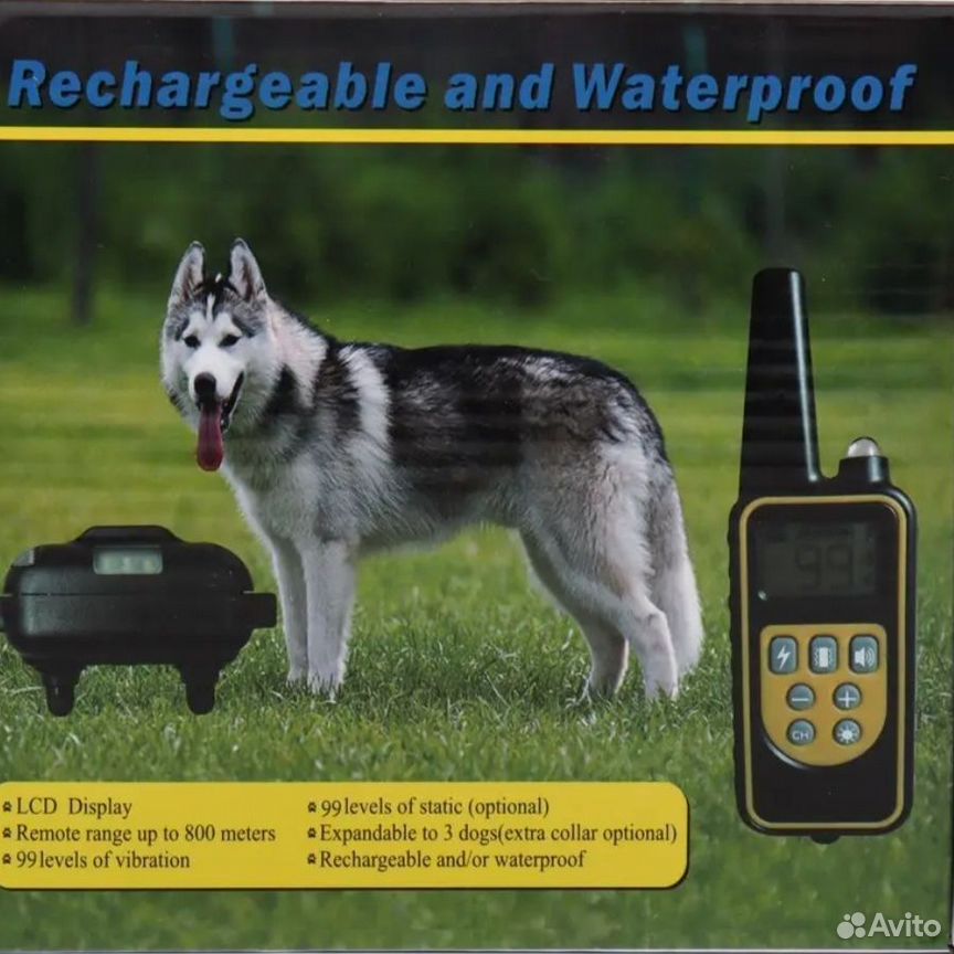 Дрессировочный ошейник