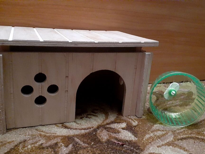 Колесо для хомяка, 2 домика доя крыски/хомы