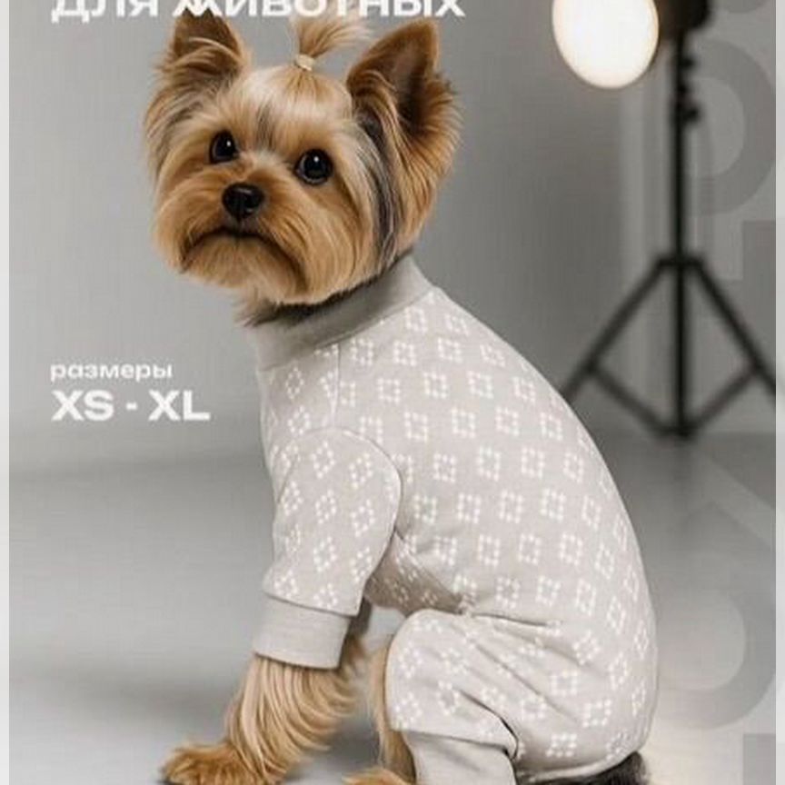 Одежда для собак размер s