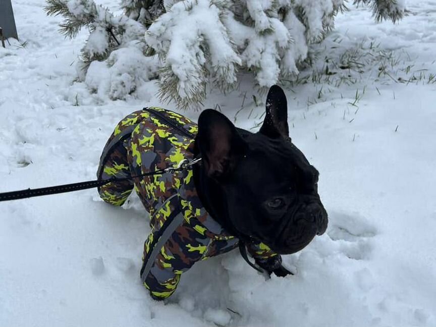 Одежда для собак, куртка зима на заказ