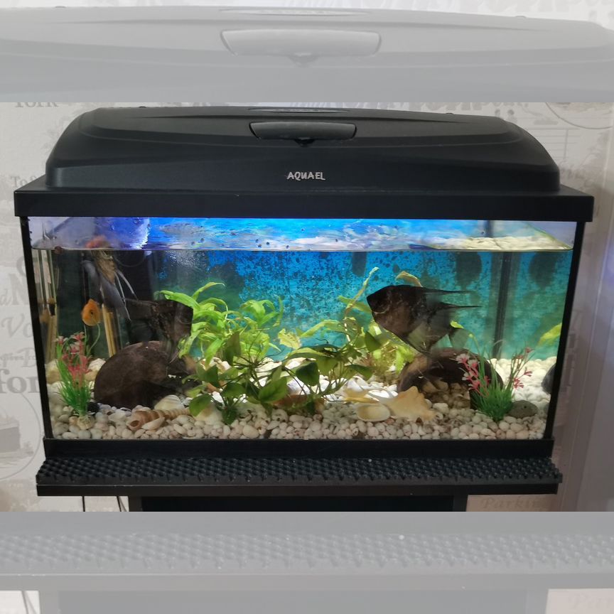 Аквариум с тумбой 65 литров