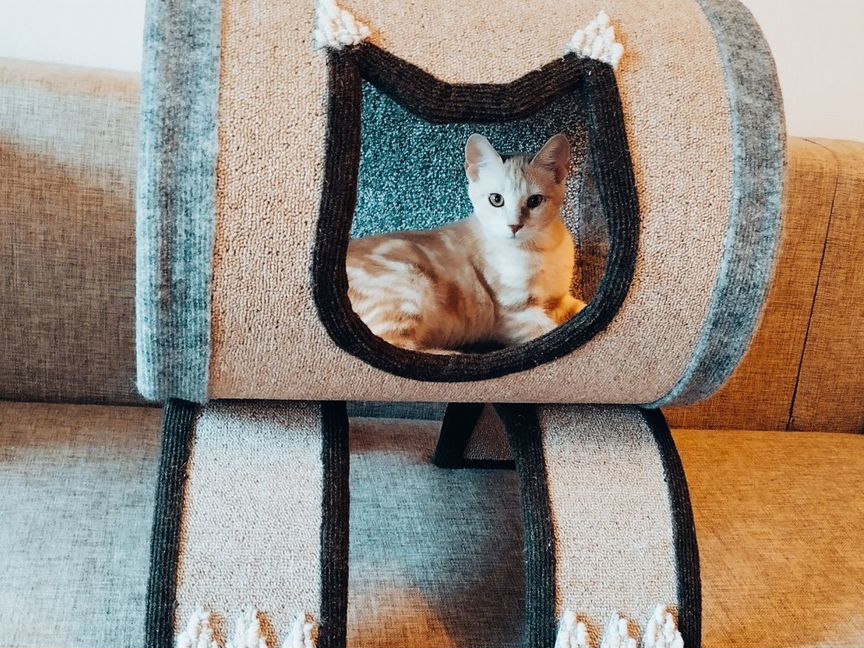 Домик когтеточка
