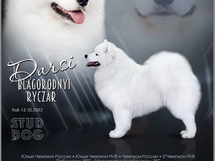 Белое облачко