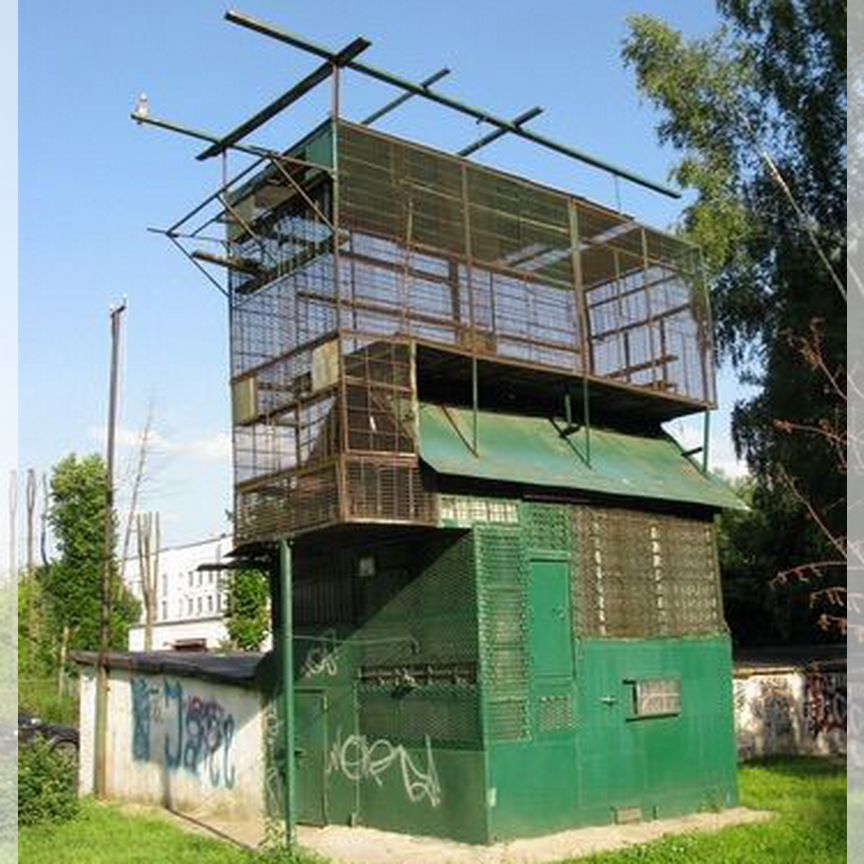 Голубятня в аренду