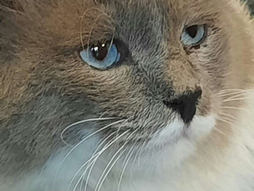 Ждем своего человека