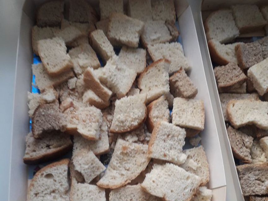 Товары для животных. Сухари