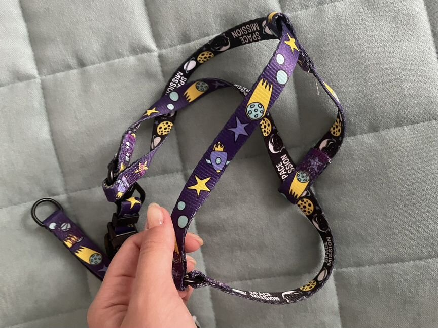 Шлейка для собаки