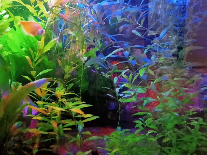 Украшение для аквариума