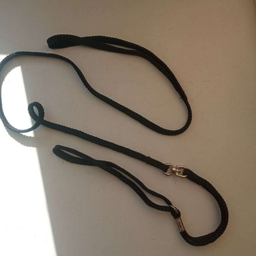 Ринговка для маленьких и миниатюрных собак