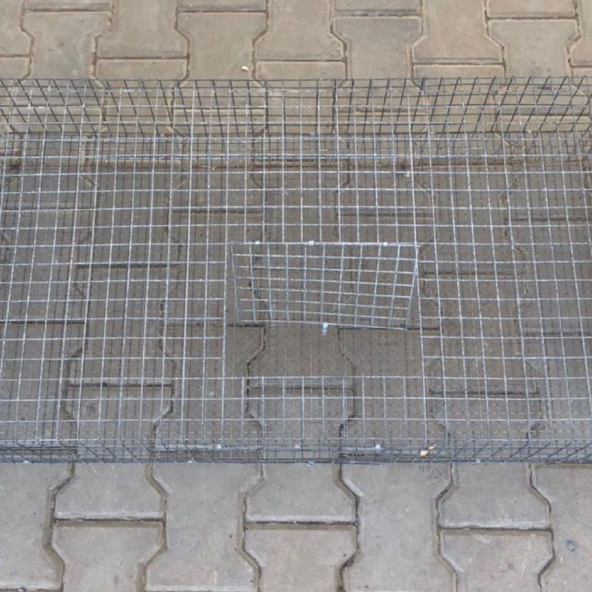 Клетка для перепелок