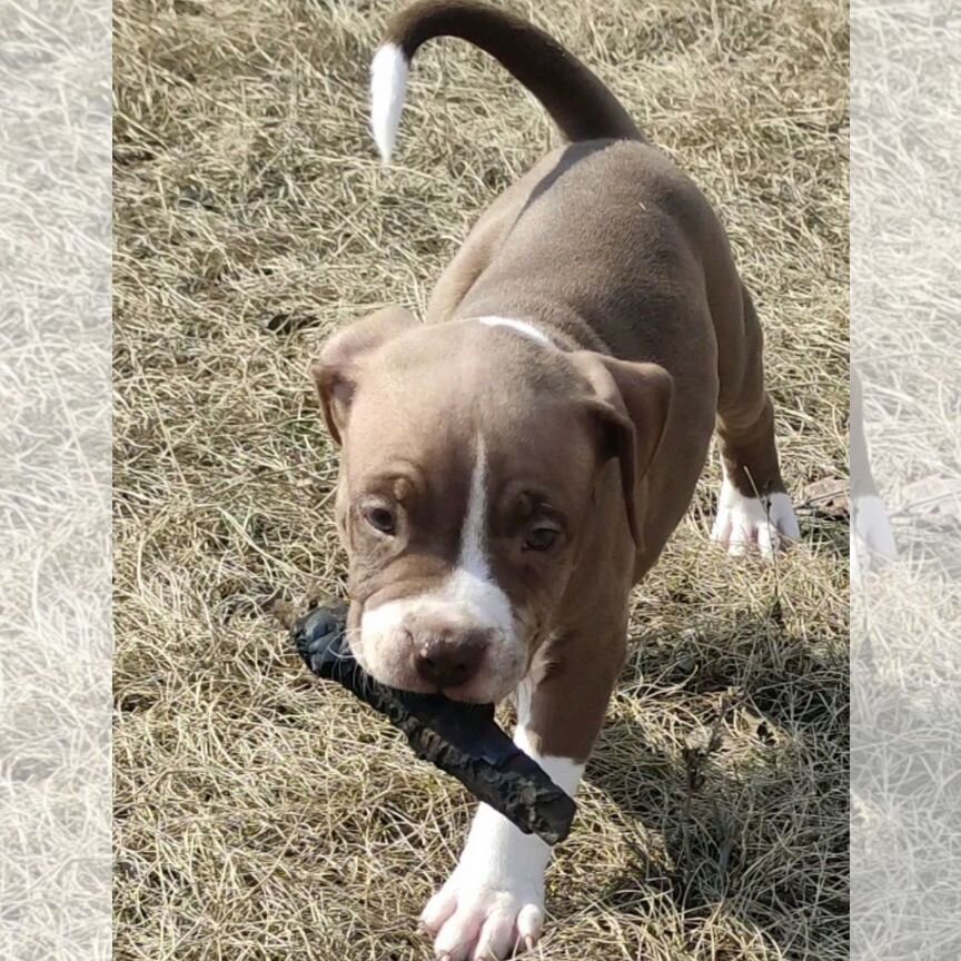 Любопытный милый мальчишка