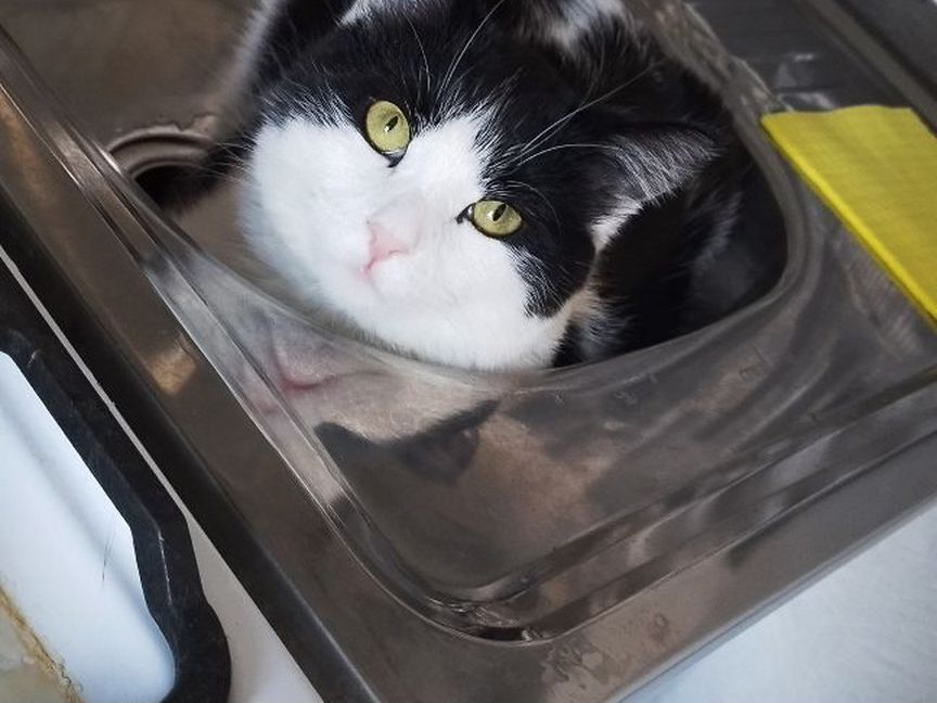 Матвей и Ёся ждут своих любящих родителей