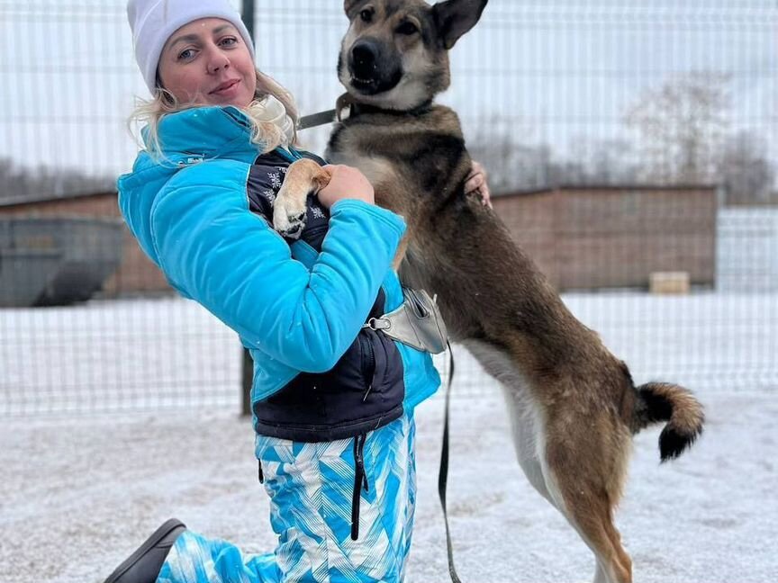 Собака из приюта ищет дом