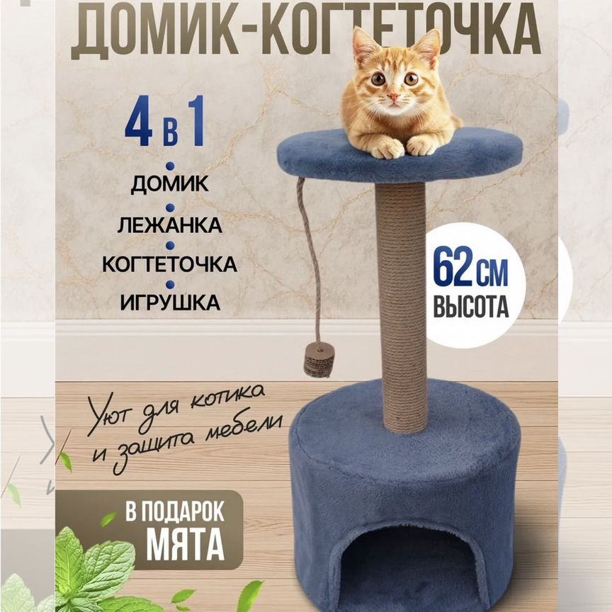 Когтеточка