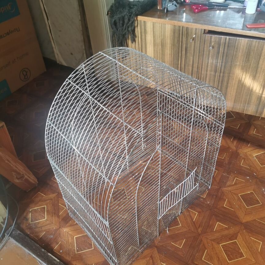 Клетка