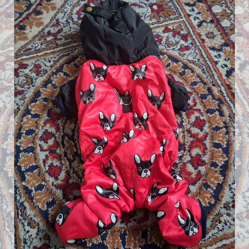 Вещи пакетом на собаку