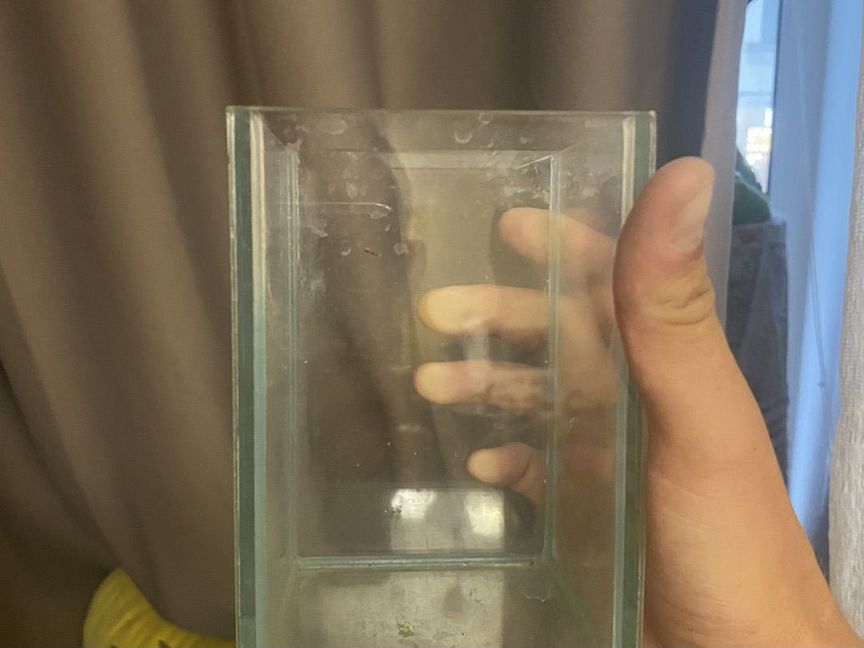 Аквариум для петушка