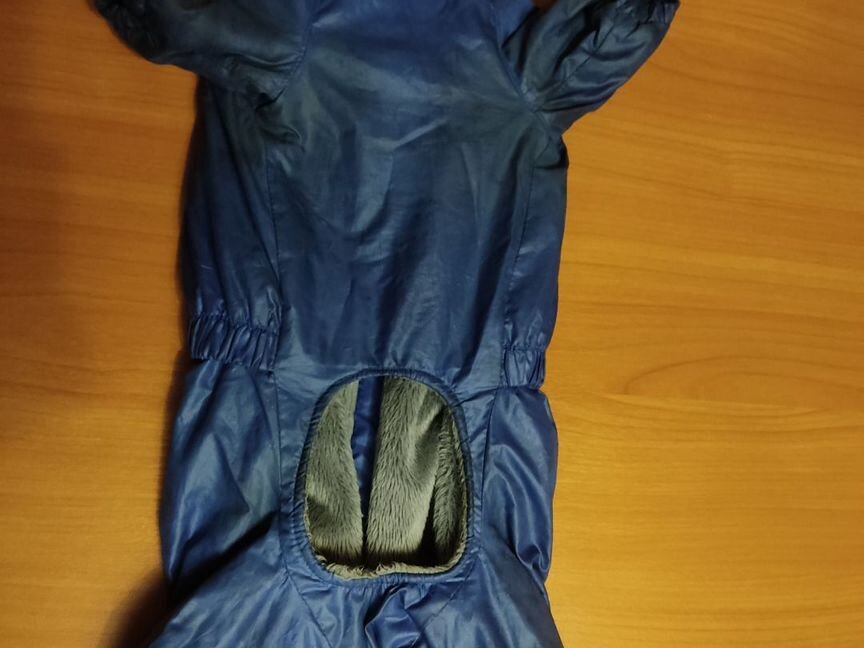 Осенний костюм для собак(мальчик)