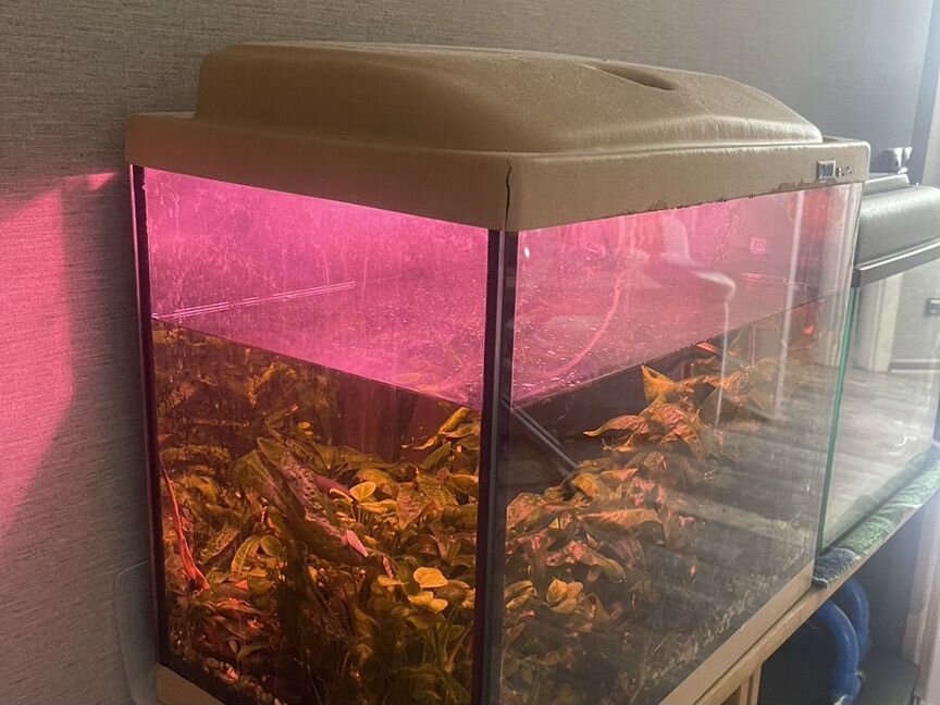 Аквариум 60л