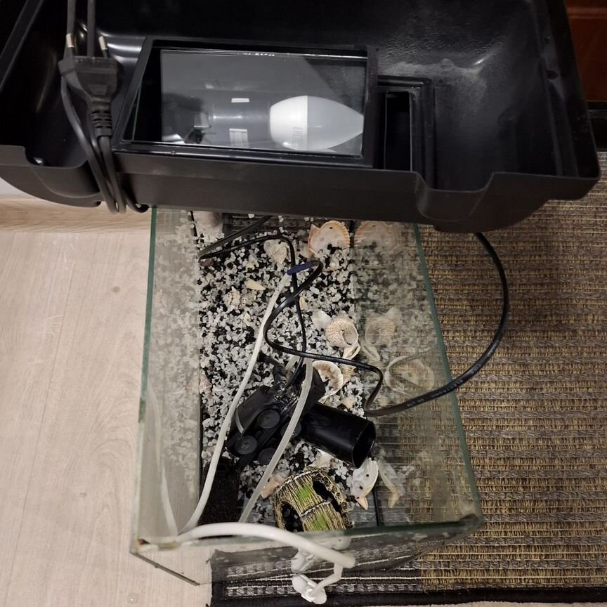 Аквариум на 20 литров