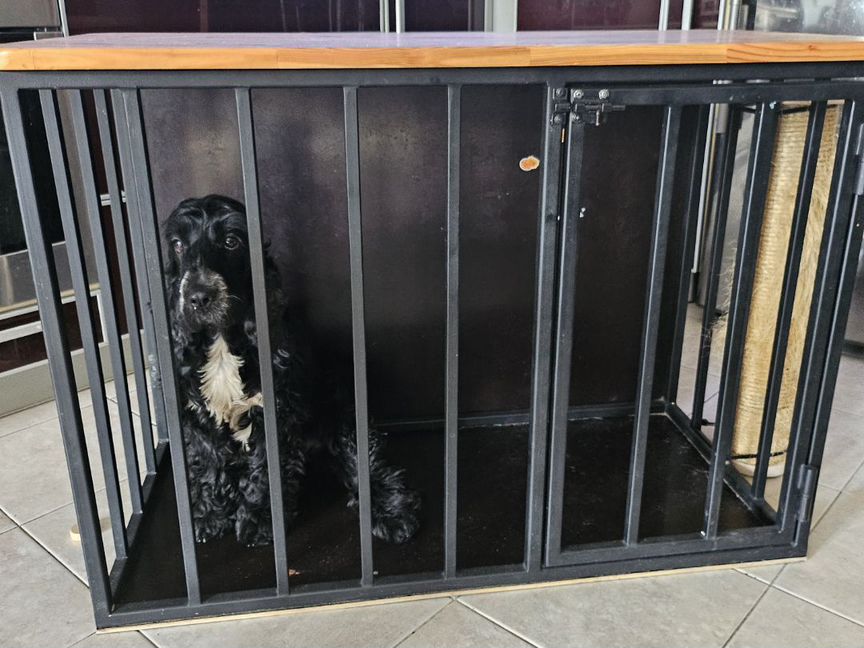 Стационарная клетка для собаки