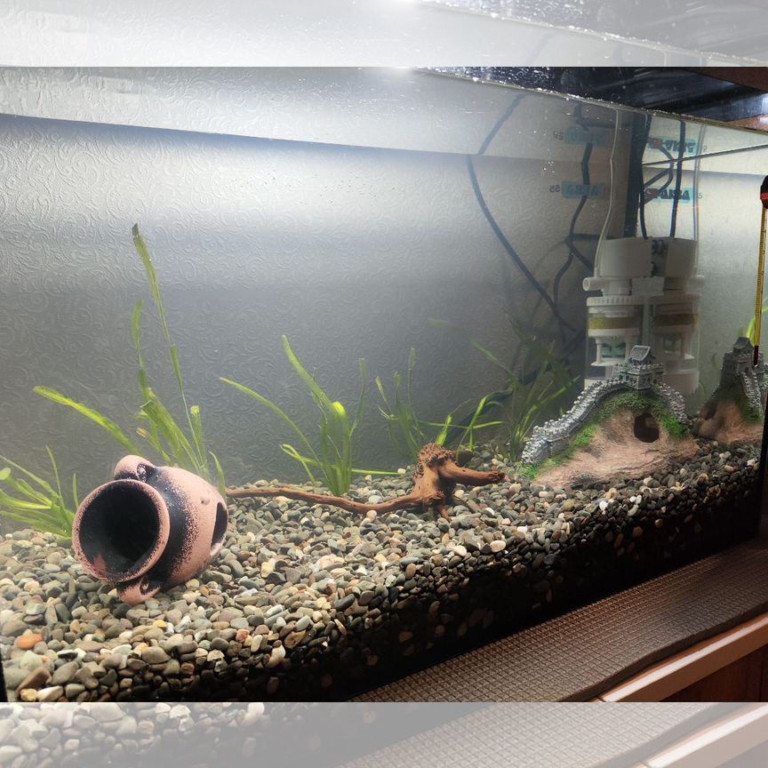 Продам аквариум 55 л с крышкой и освещением