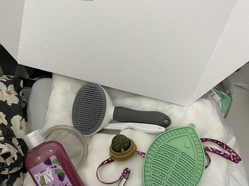 Игрушки для кошки, дом для кошки, лежанка поводок