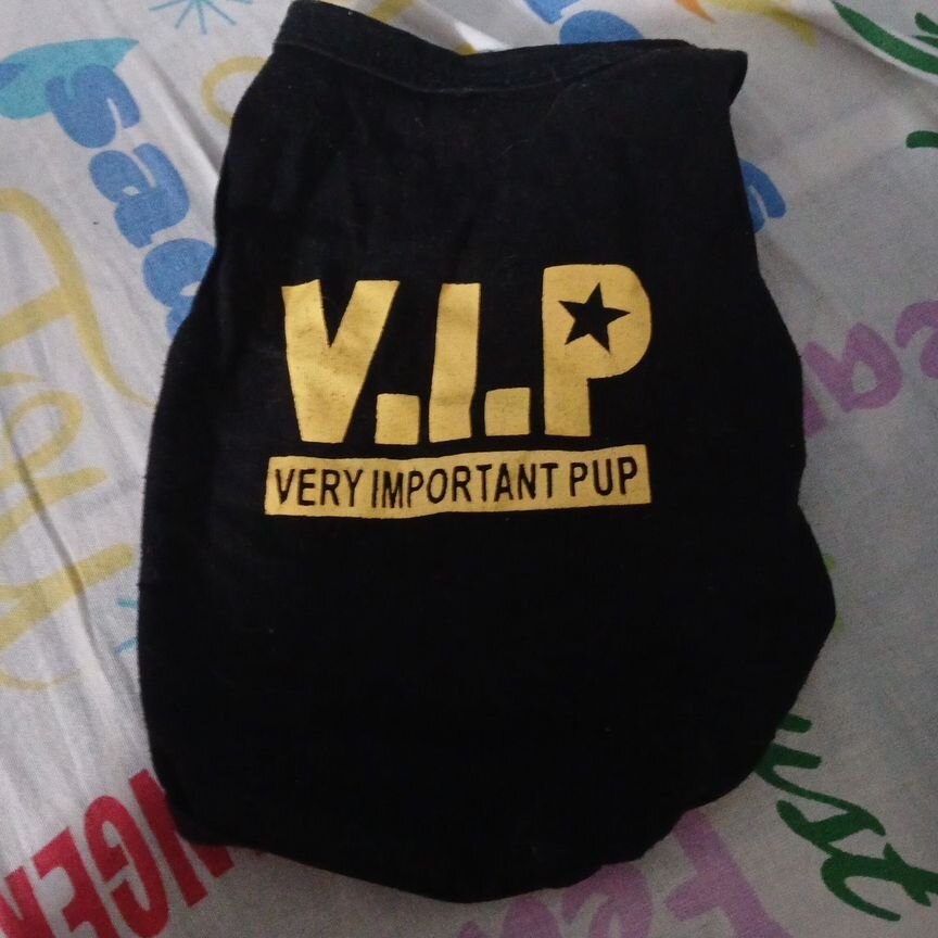 Одежда для чихуахуа