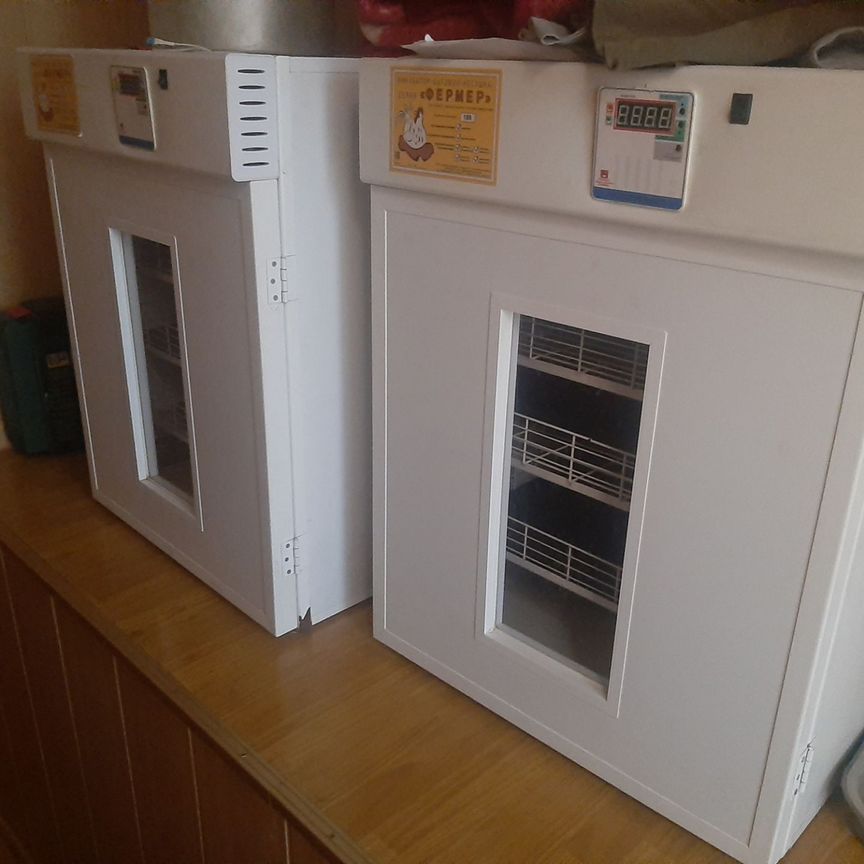 Инкубатор для яиц автоматический