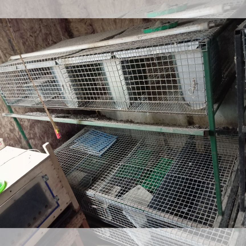 Клетка для кролика