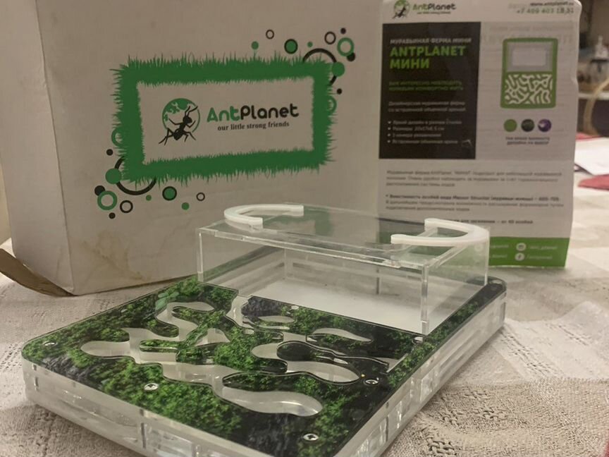 Муравьиная ферма antplanet