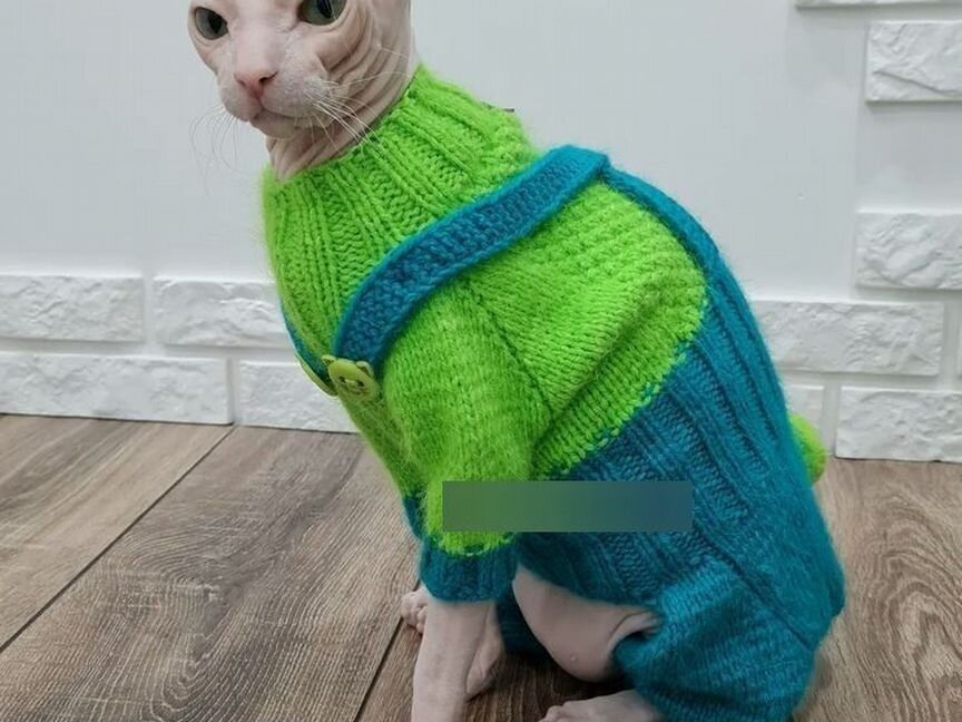 Одежда для кошек
