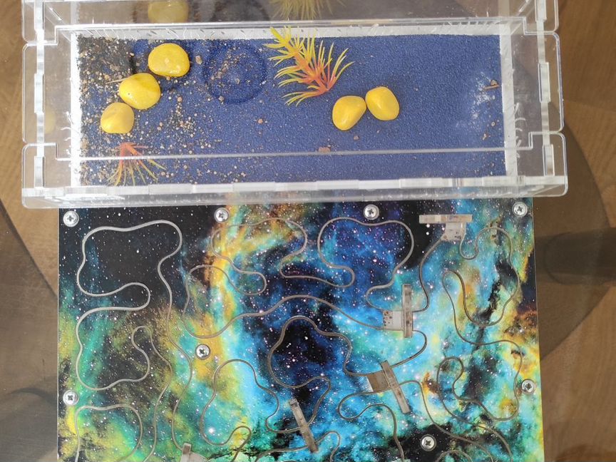 Муравьиная ферма с муравьями